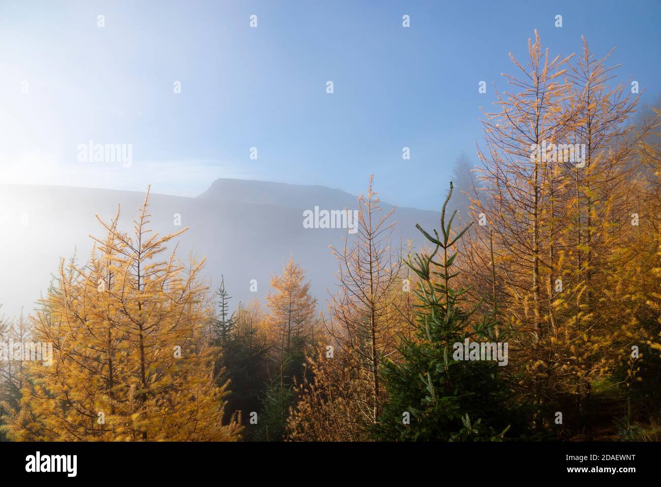 Fairbrook Naze seen from the forest at Snake Woodlands in the Peak ...