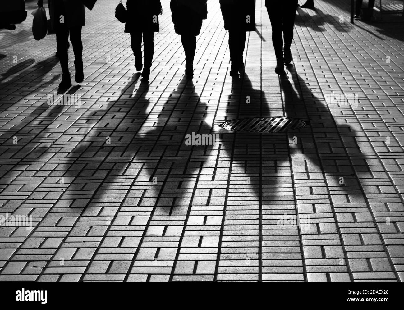 Walking In Shadow