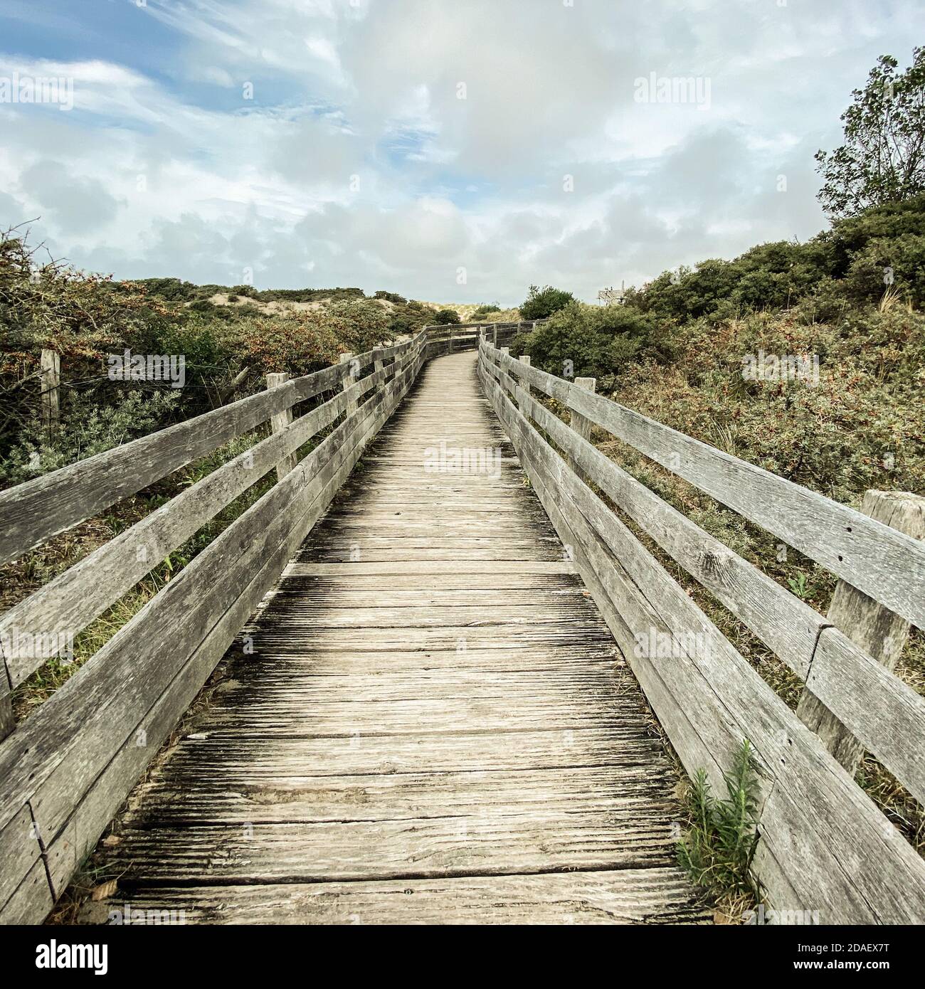 Wooden path over the dunes at Le Touquet, France. The path leads to ...