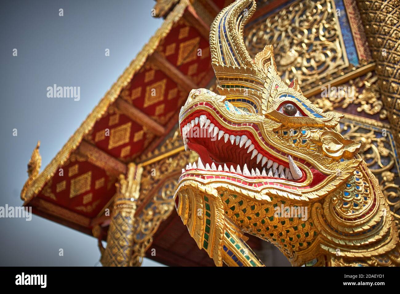 Old dragons head hi-res stock photography and images - Alamy