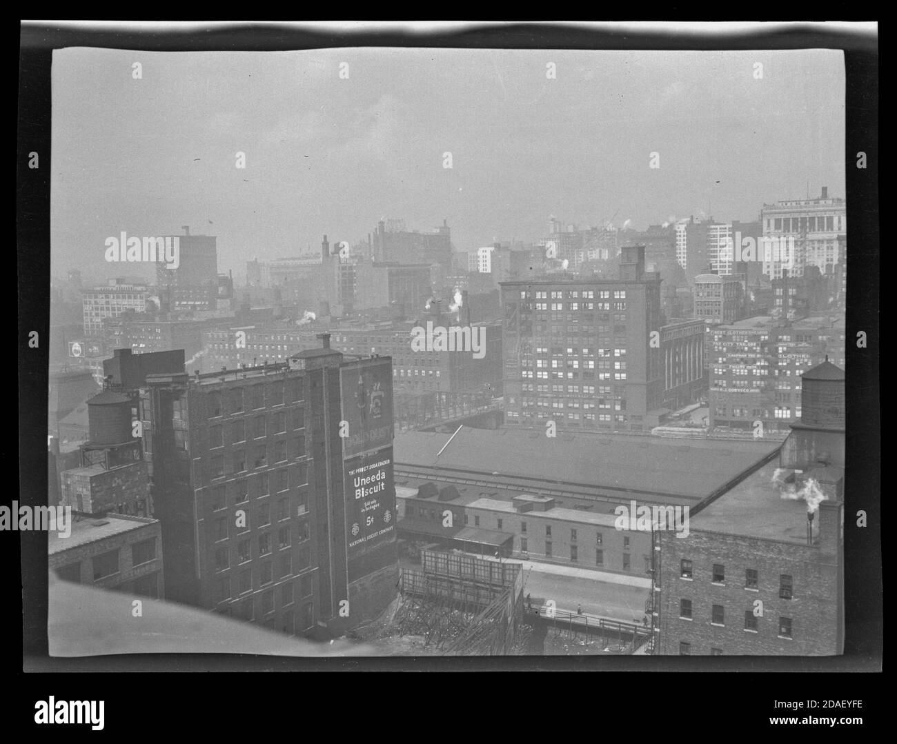 Chicago water birds Black and White Stock Photos & Images - Alamy