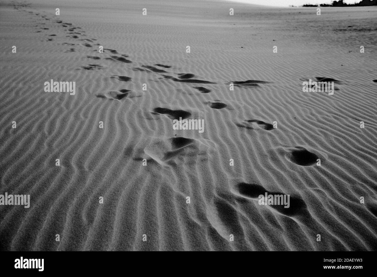 Grayscale shot of sandy desert Stock Photo - Alamy