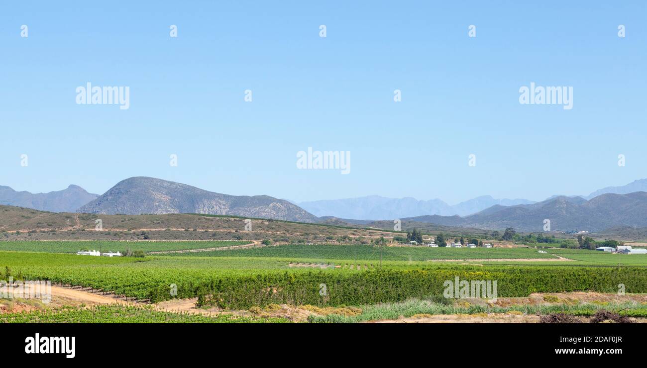 Vineyards and wine farms between McGregor and Robertson, Robertson Wine ...