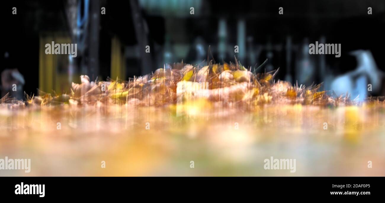 Fall background autumn foliage intentionally hi-res stock photography ...