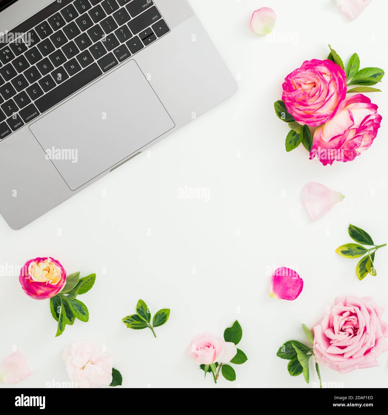 Laptop with pink roses flowers and petals on white background. Flat lay ...
