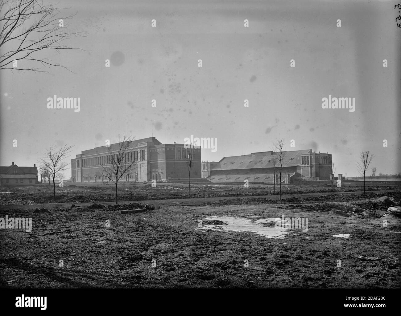 Exterior elevation showing both sides of Illinois Stadium and trees ...