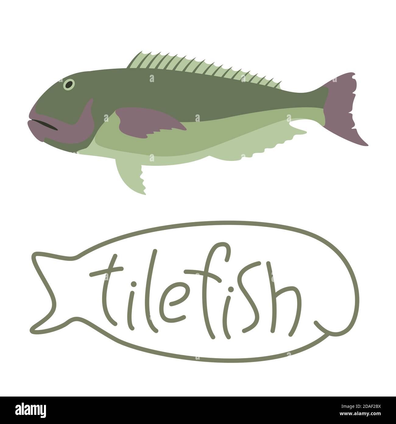 Tilefish hi-res stock photography and images - Alamy