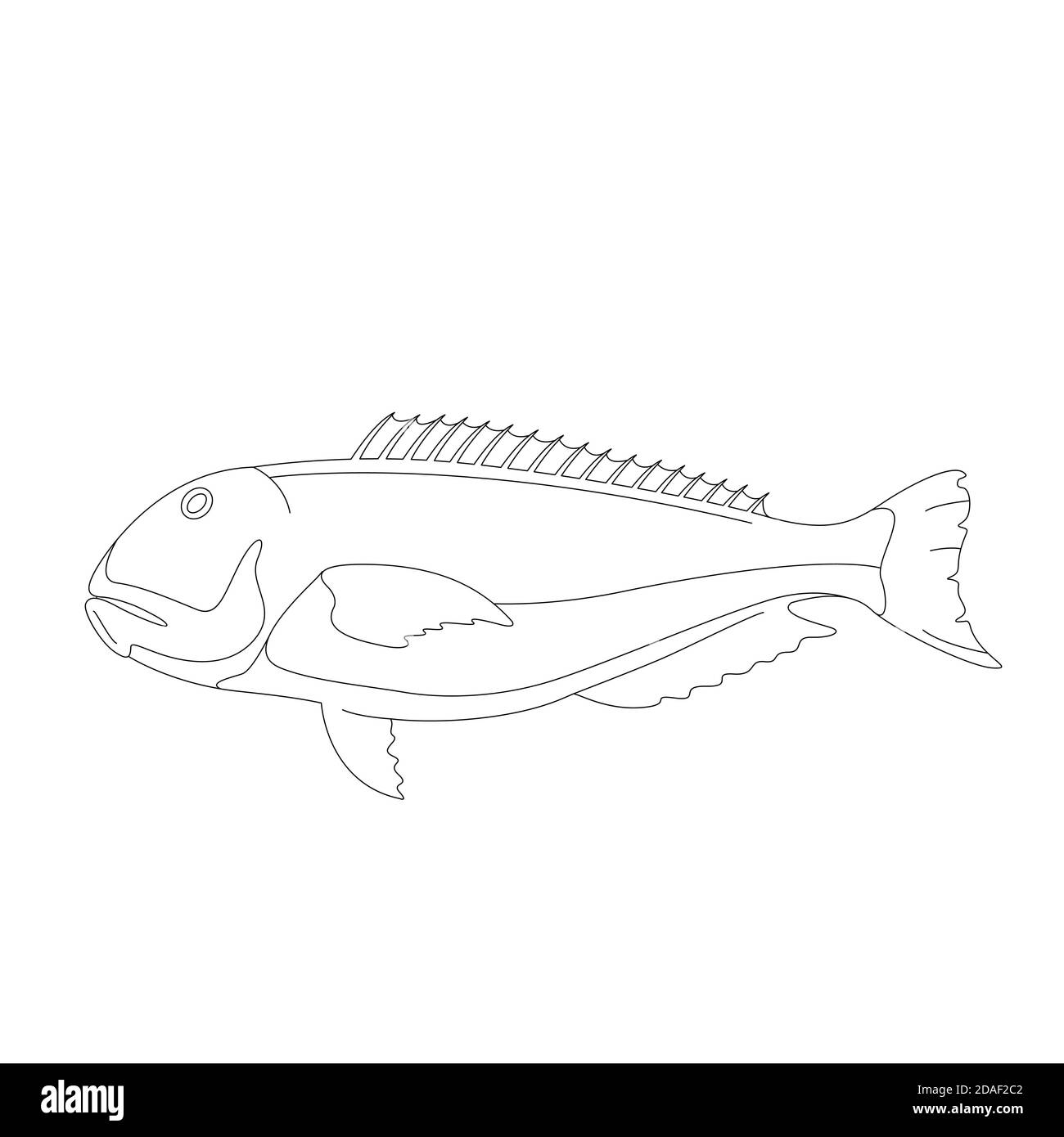 tile fish, vector illustration, lining draw, profile Stock Photo - Alamy