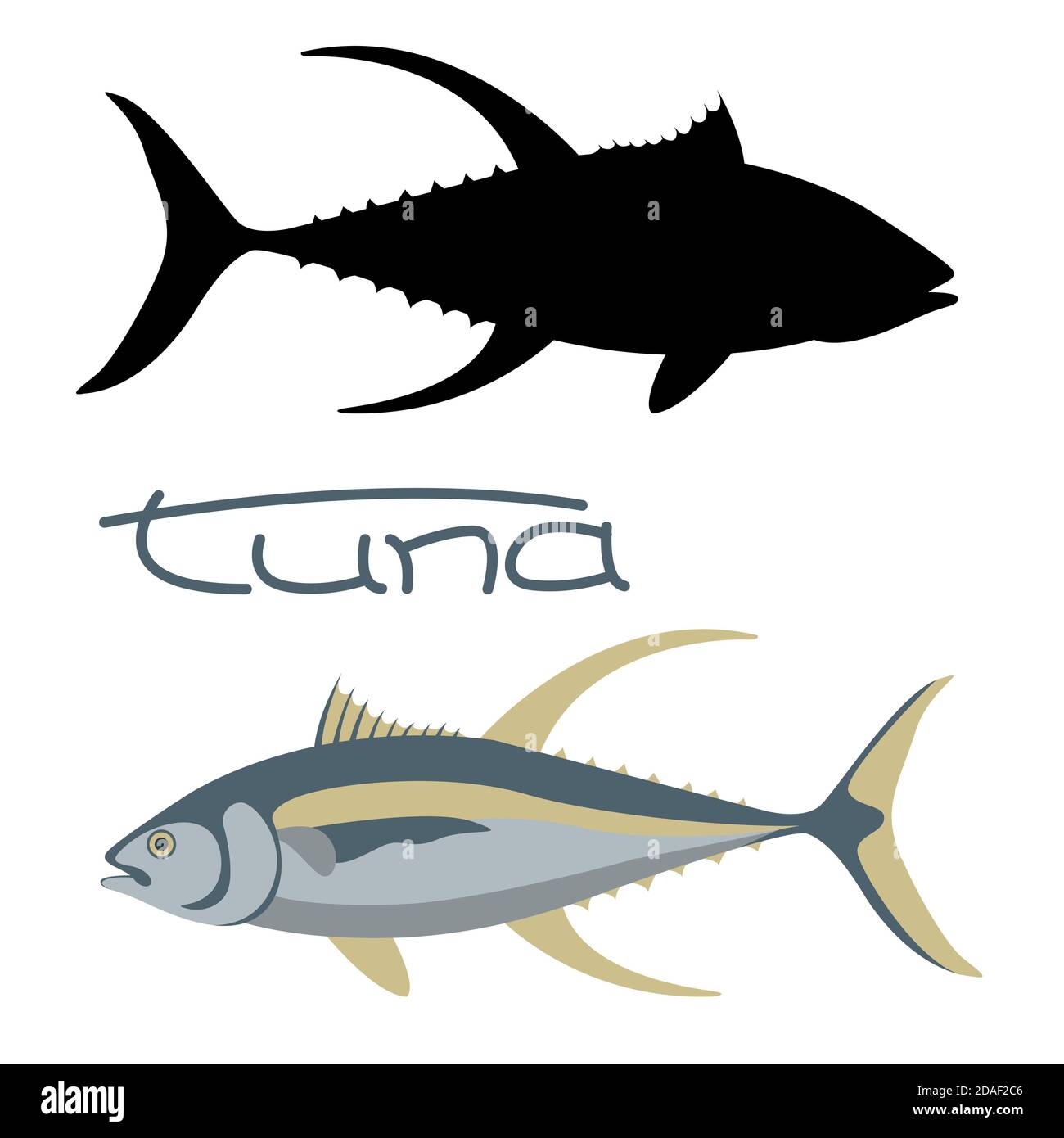 Fish vector hi-res stock photography and images - Alamy