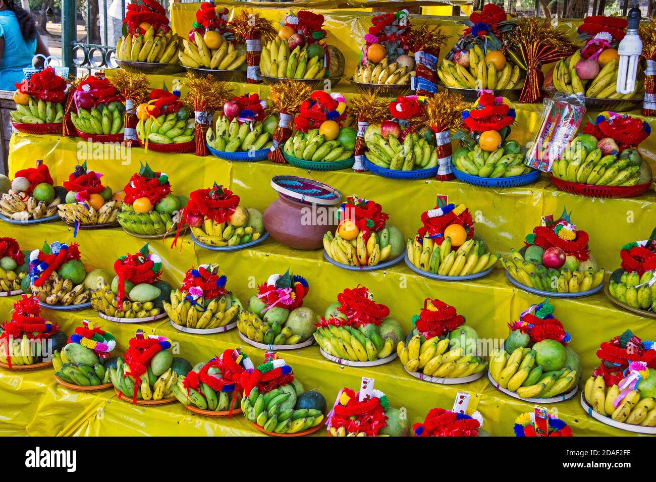 Food Offering To Buddha