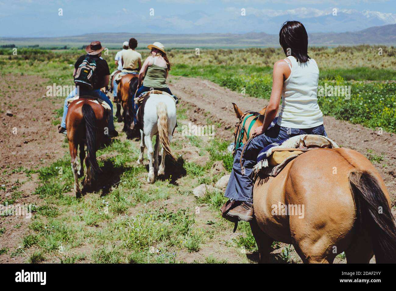 Horseback riding in the mountain of Mendoza Stock Photo - Alamy
