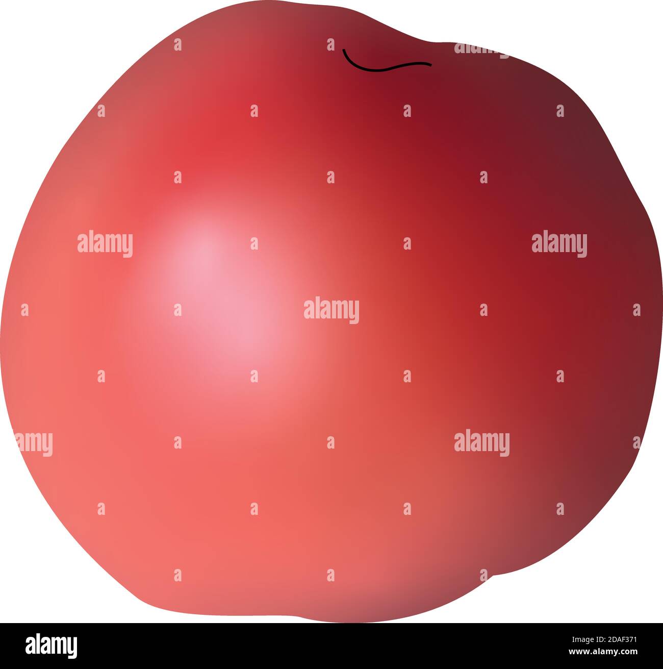 3d Vector illustration of red big fresh tomato isolated on white ...