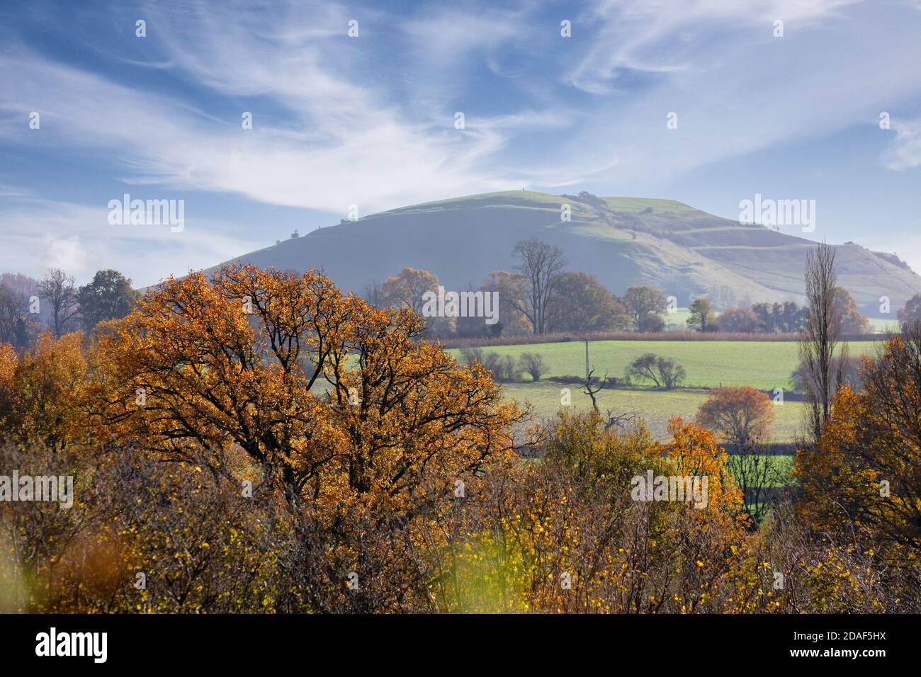 Trees in golden autumn colours with hills in background - English ...