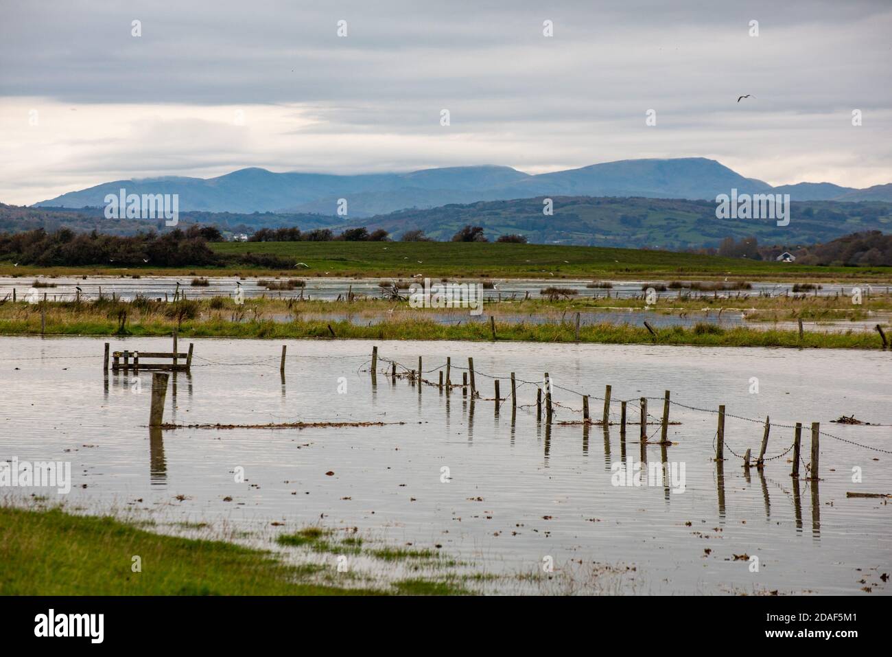 The river Bela and Kent Estuary at high tide and flooding of farmland ...