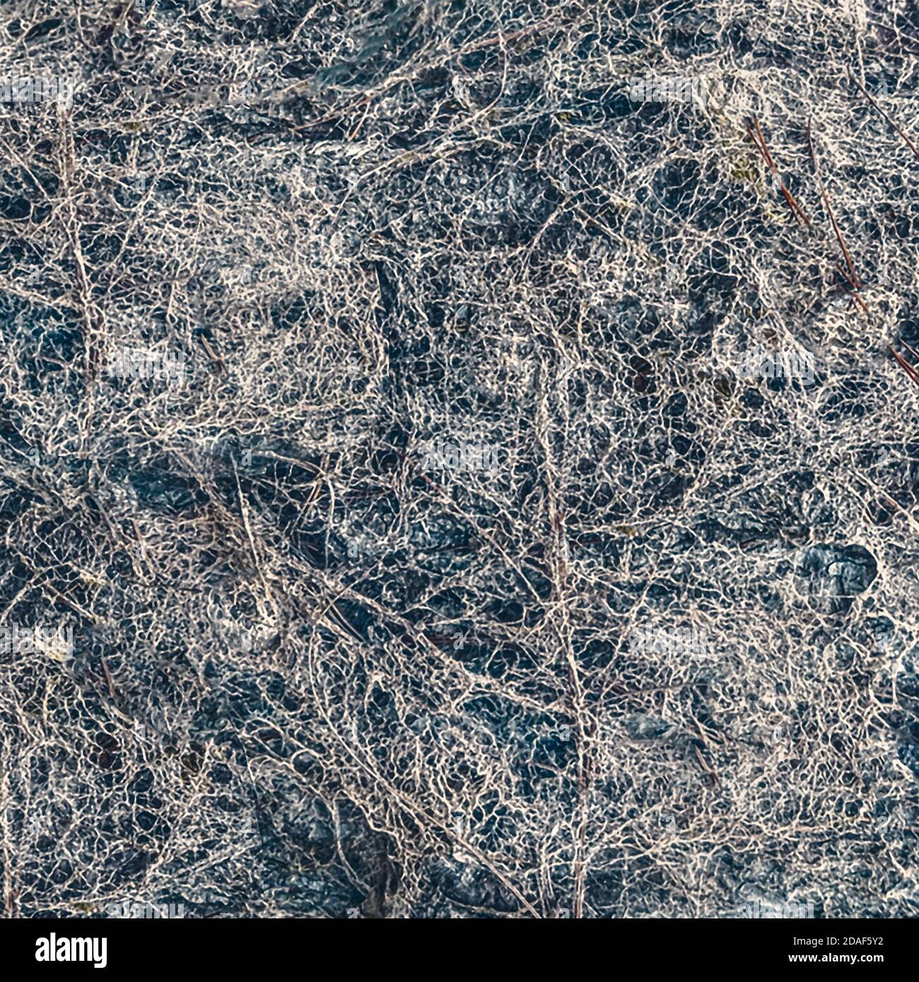 Abstract organic intricate texture background photo Stock Photo - Alamy