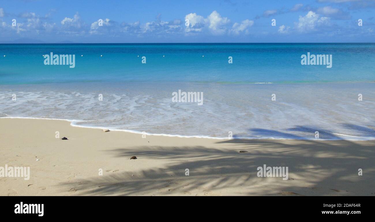 Beautiful Antigua beach landscape, bright blue sea, palm tree shadow ...