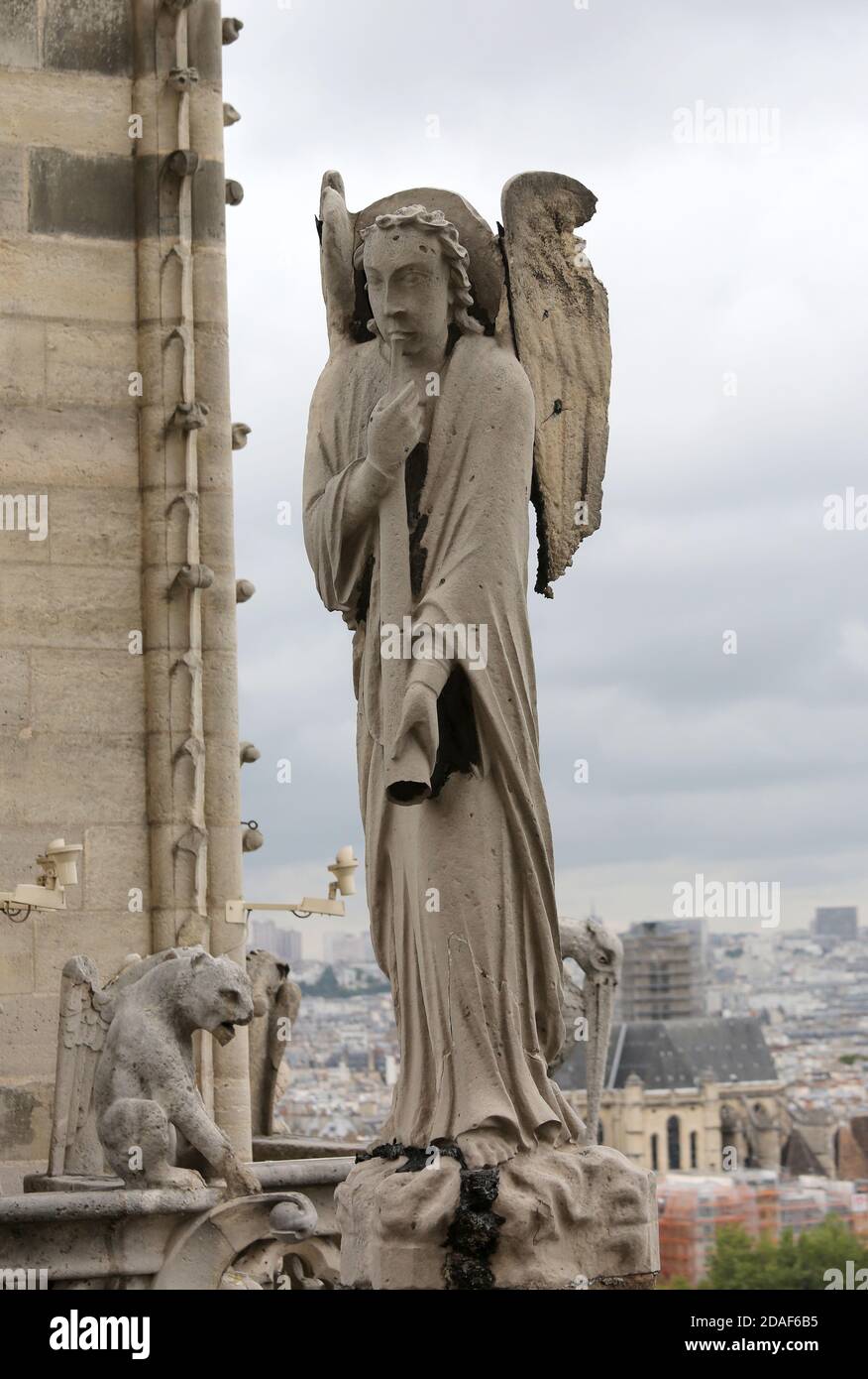 Ancient statue of a winged angel above the Notre Dame Cathedral in ...