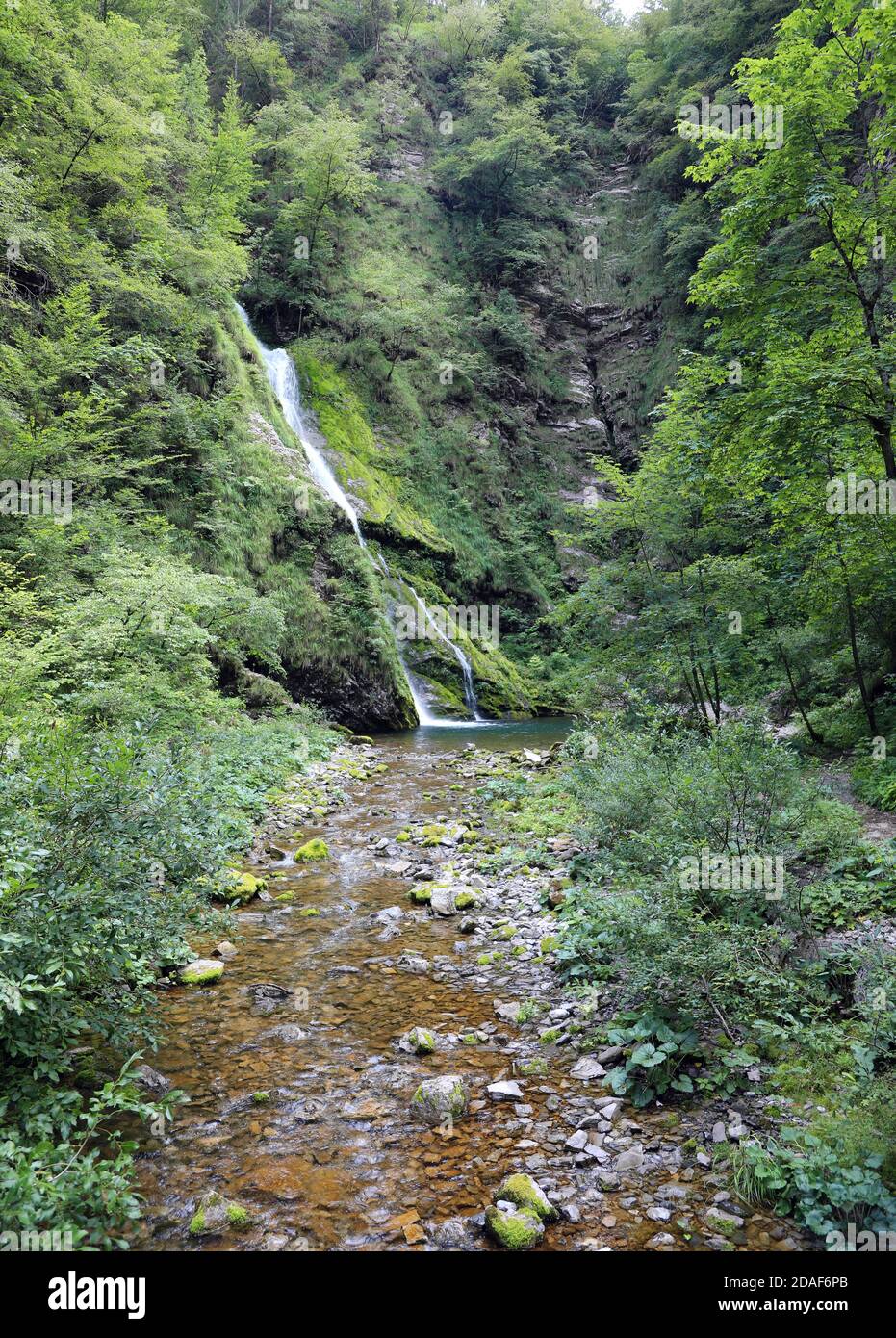 pristine natural environment with a beautiful waterfall in the middle ...