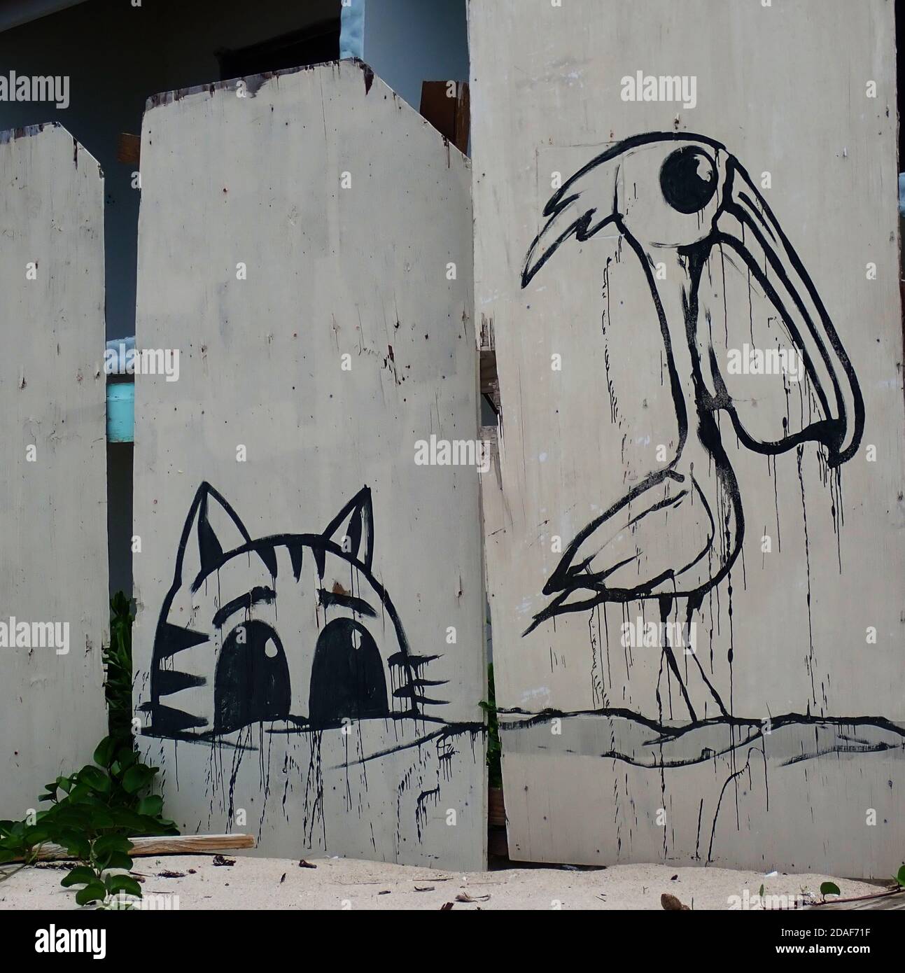 Beachside graffiti of peeking cat and pelican. Black on white painted ...
