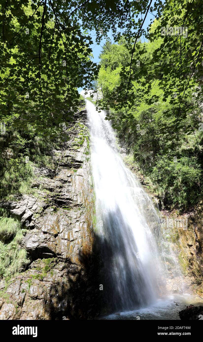 high waterfall with lots of sparkling water in the middle of the forest ...