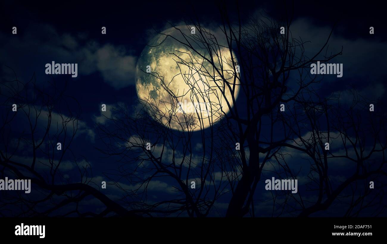 moon tree in night, 3d render illustration Stock Photo - Alamy