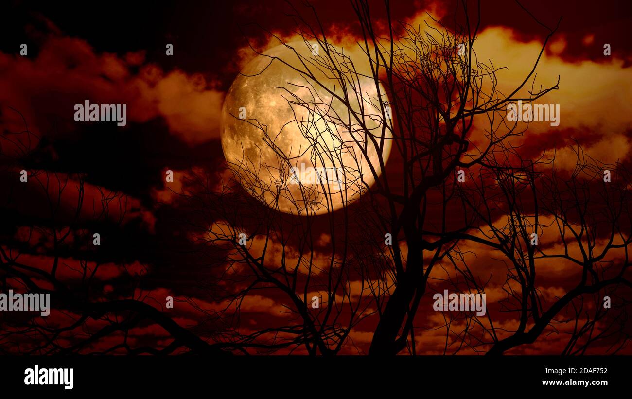 moon tree in night, 3d render illustration Stock Photo - Alamy
