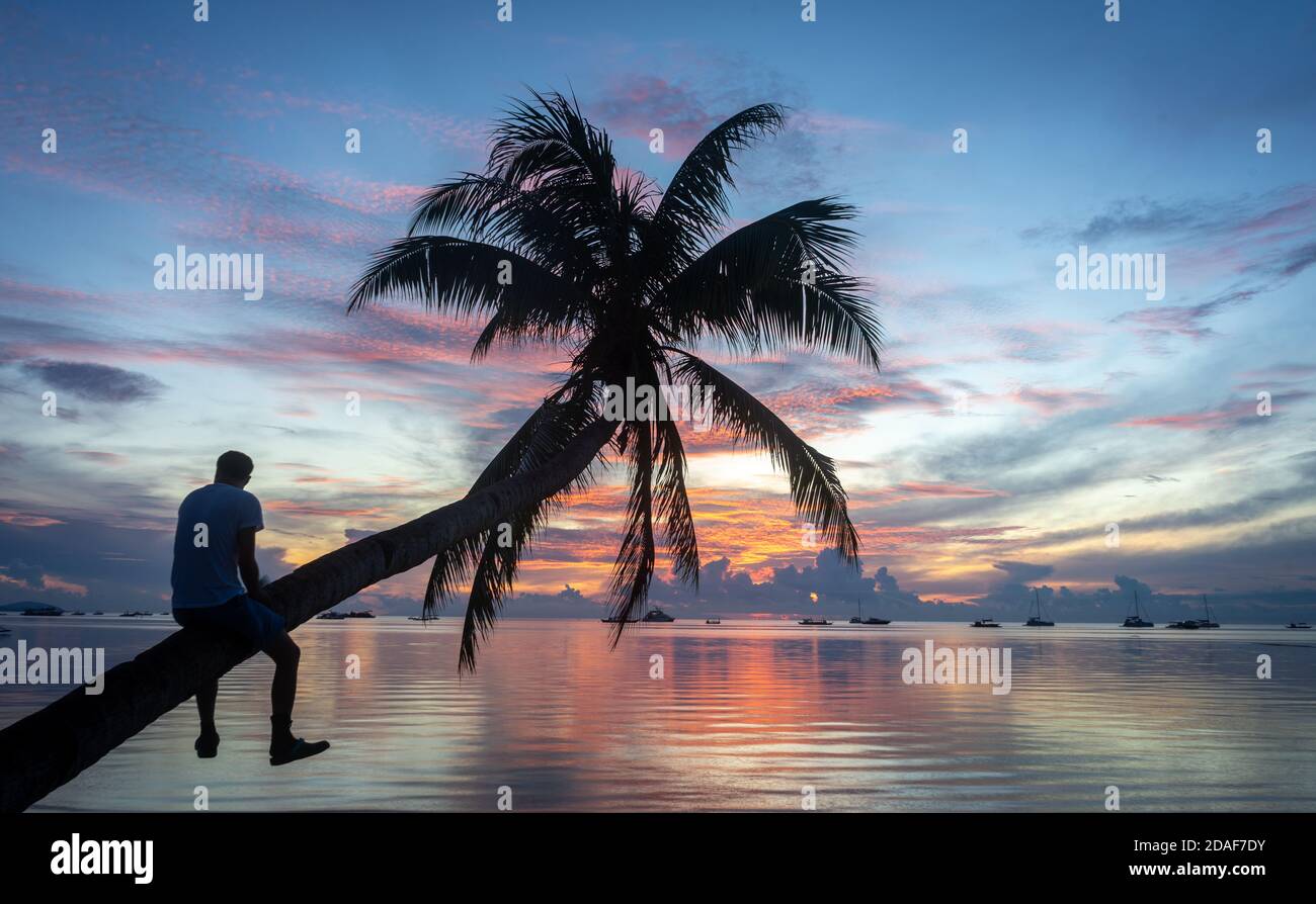 Sunrise with palm tree hi-res stock photography and images - Alamy