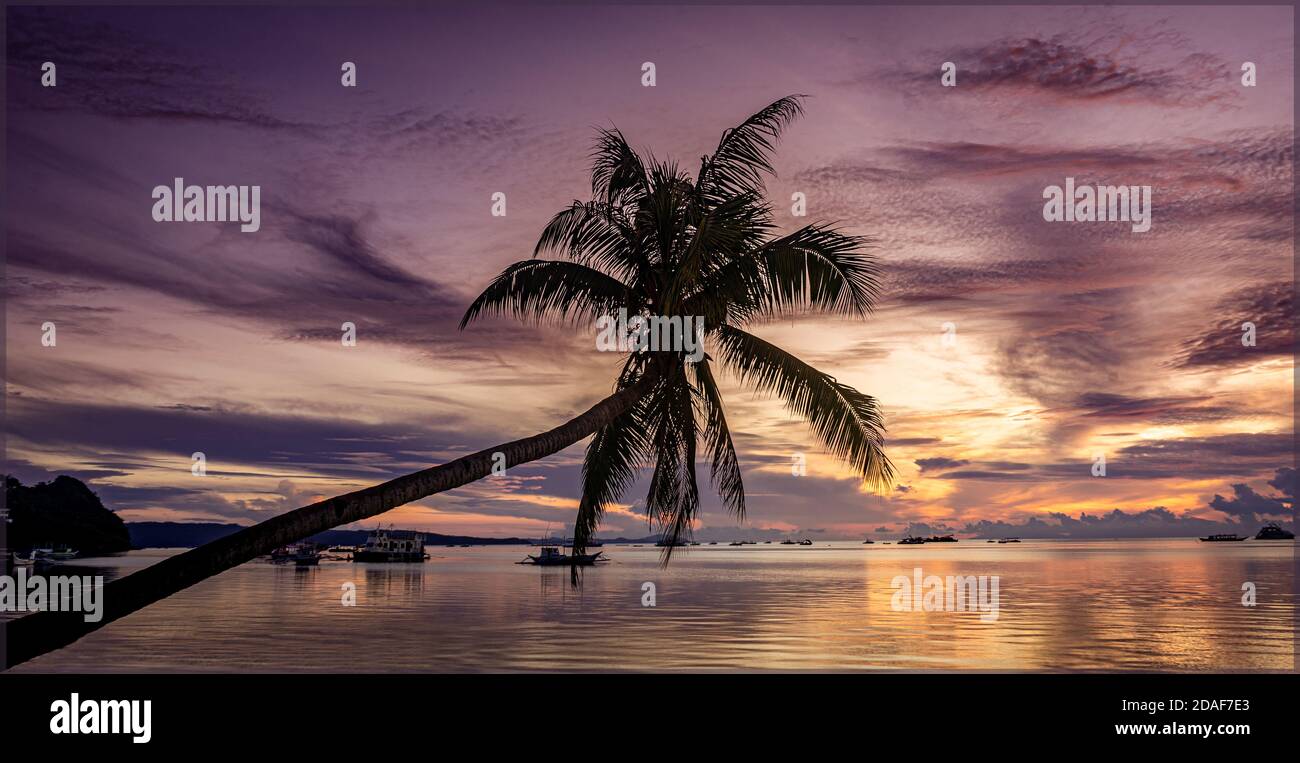 Beautiful sunrise in tropical Philippines Stock Photo - Alamy