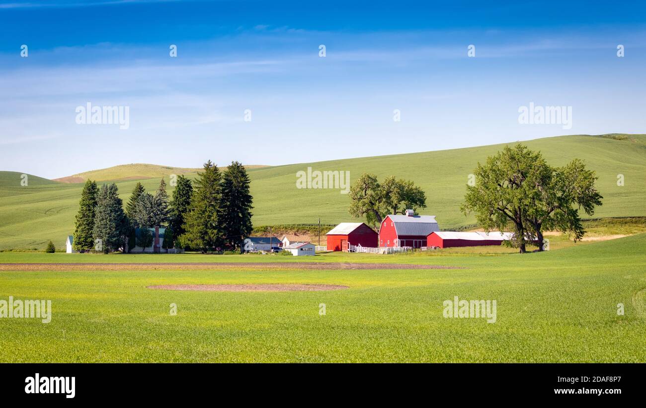 "Palouse Farm" The Palouse is a region, which is located in the ...