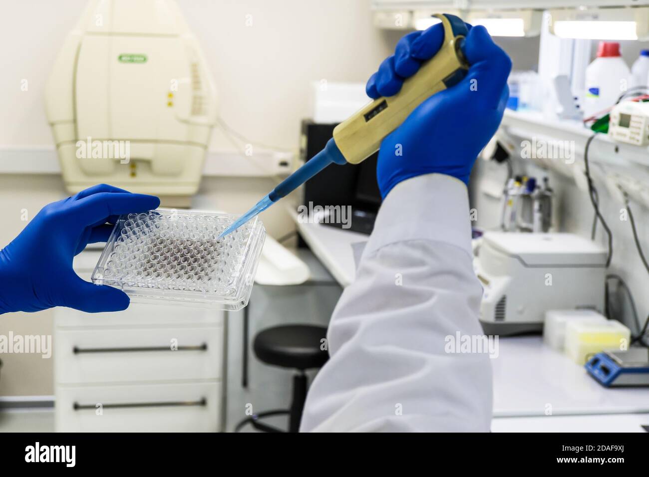 In a scientific biological laboratory. Biological sample manipulation ...