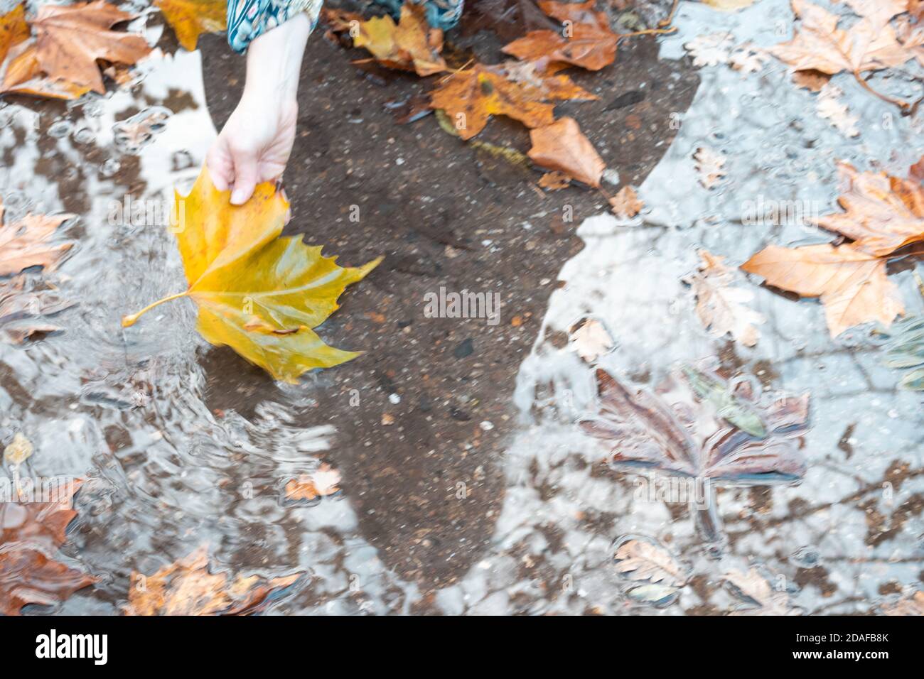 Autumn leaves and reflections in the water Stock Photo - Alamy