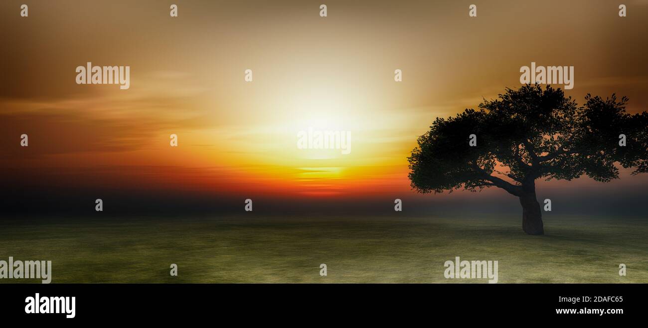 tree on field sunrise, 3d render illustration Stock Photo - Alamy