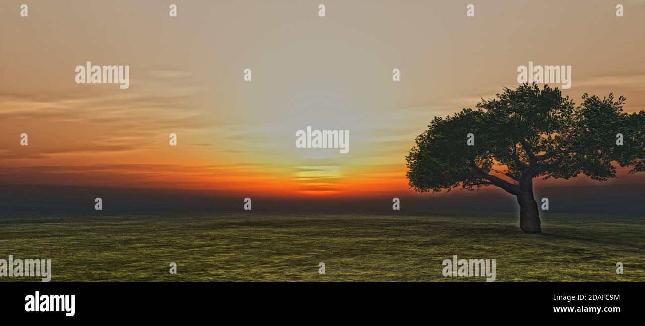 tree on field sunrise, 3d render illustration Stock Photo - Alamy