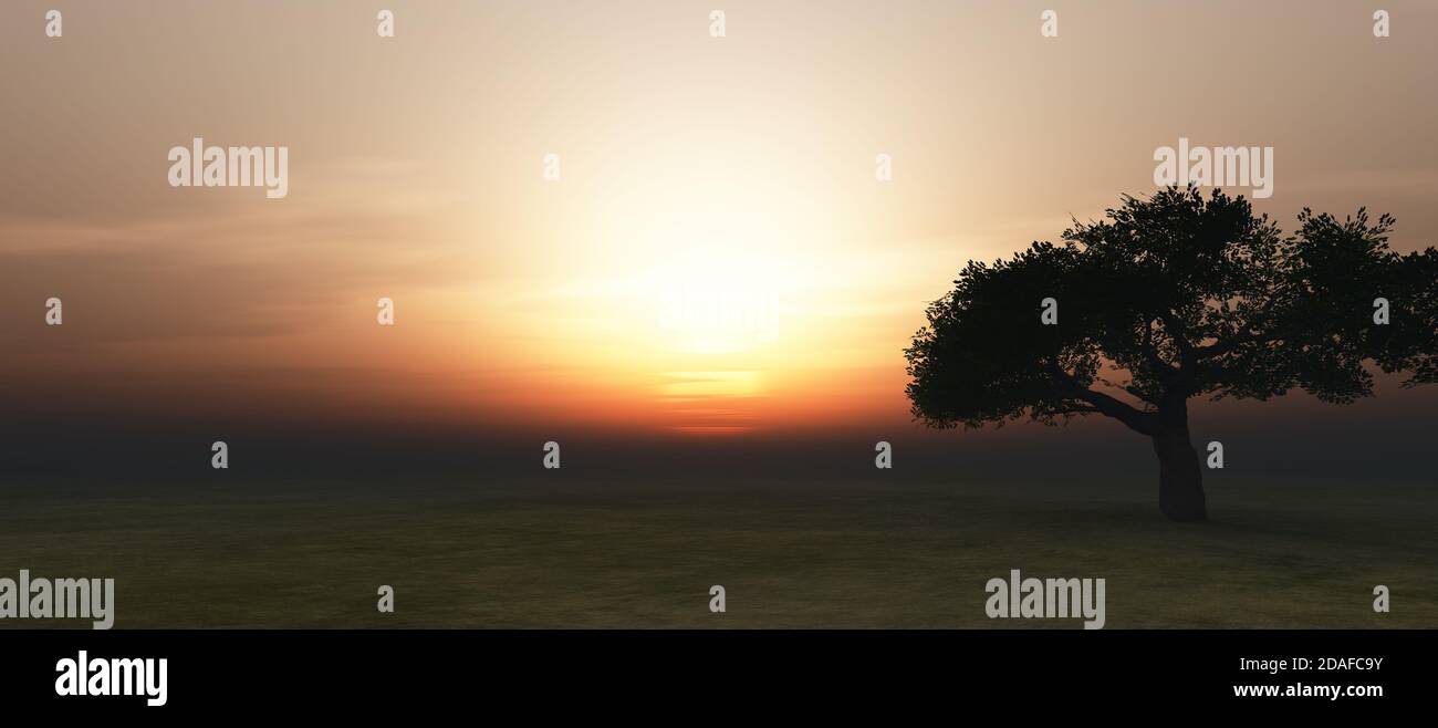 tree on field sunrise, 3d render illustration Stock Photo - Alamy