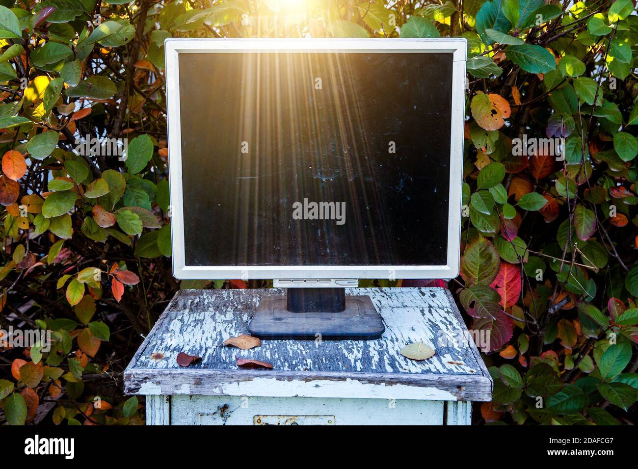 Old Computer Monitor on the Leaves Background Stock Photo - Alamy