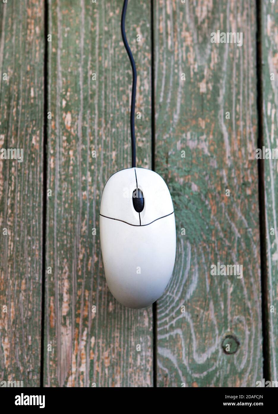 Lost mouse hi-res stock photography and images - Alamy