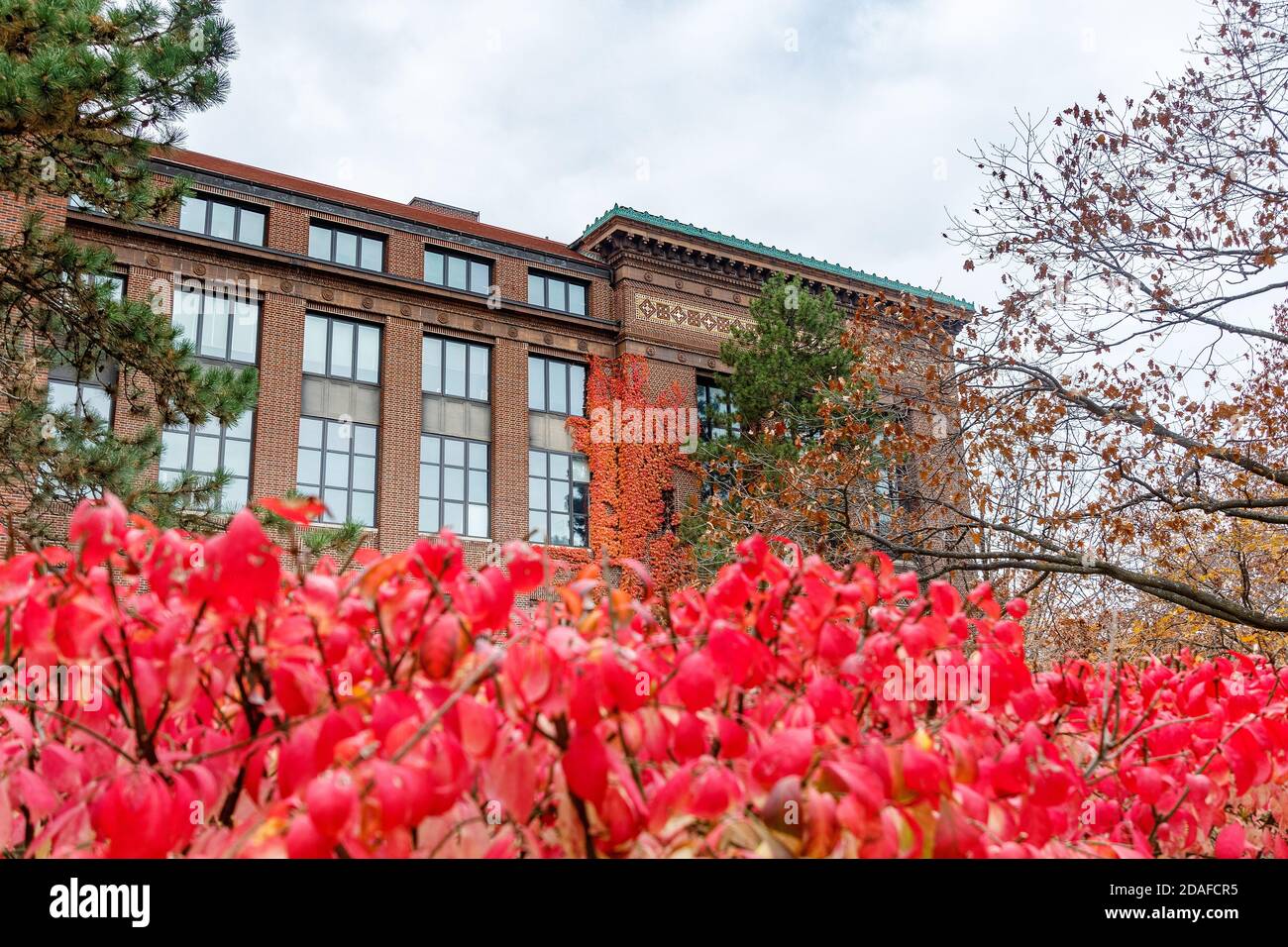 Harlan hatcher graduate library hi-res stock photography and images - Alamy