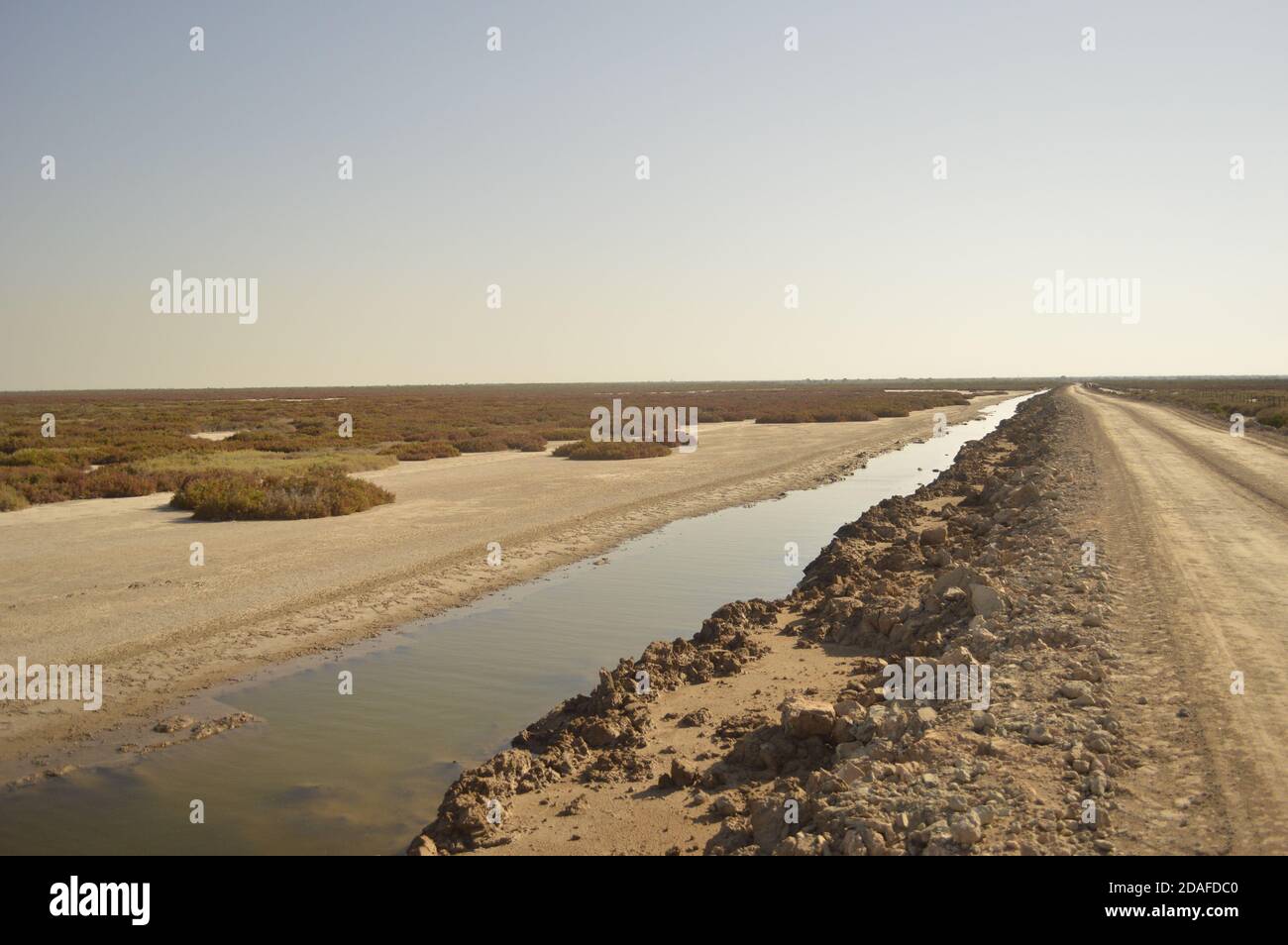 Dirt road in saline area with standing water next to it and shrubs on ...