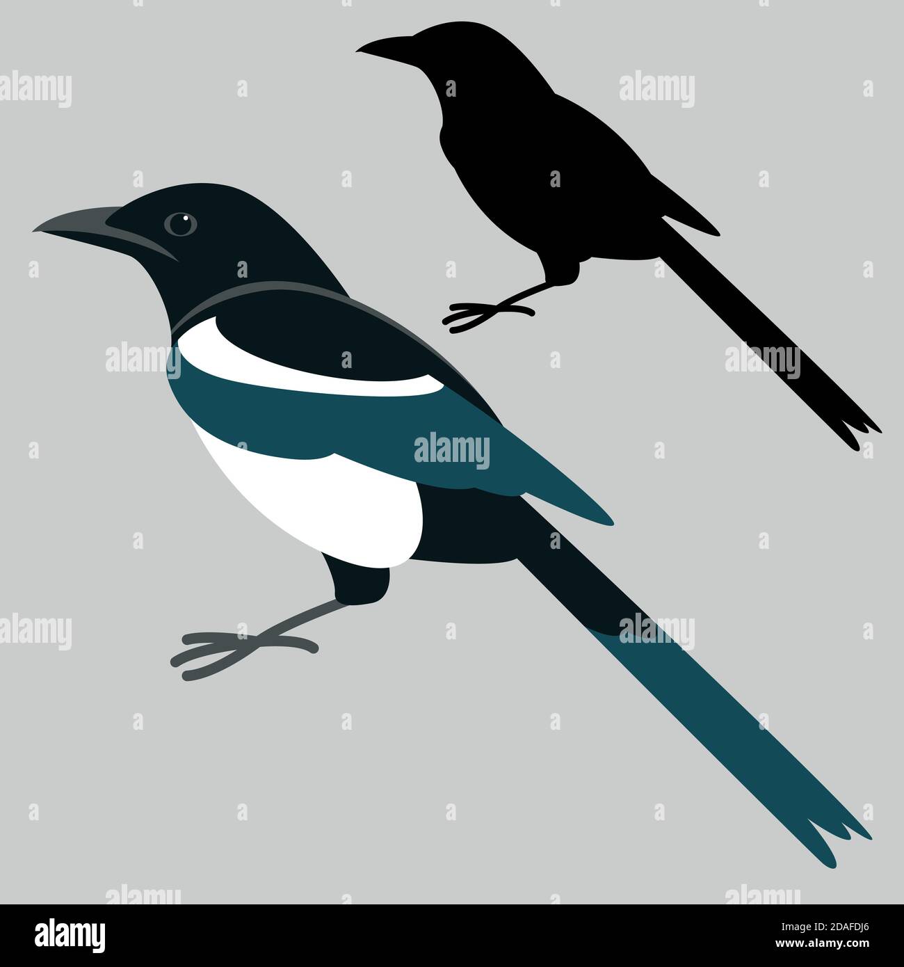 magpie bird,vector illustration,flat style,black silhouette Stock Photo ...