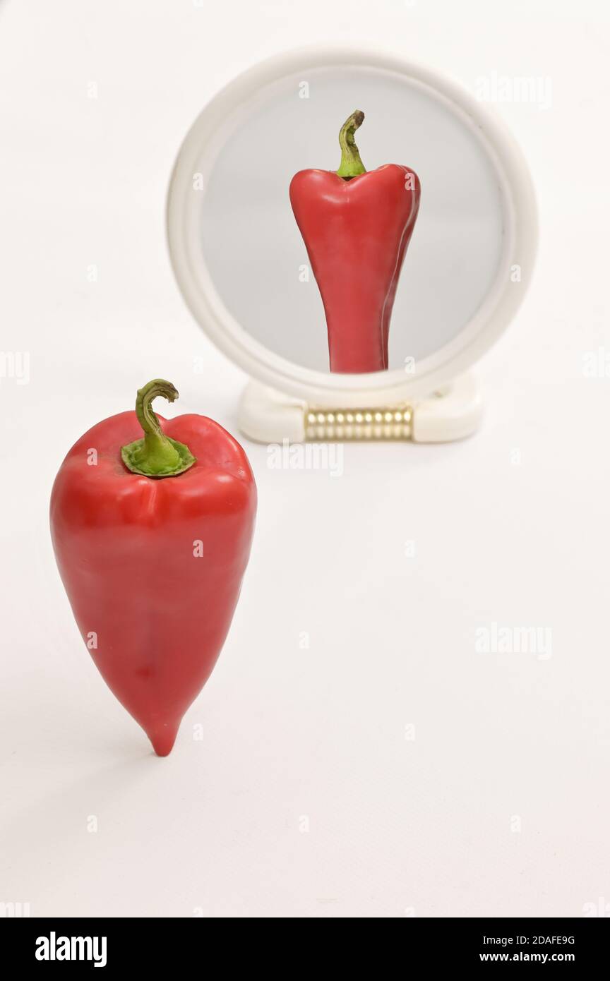 Imagination Concept Bell Pepper Reflection In Mirror on White ...
