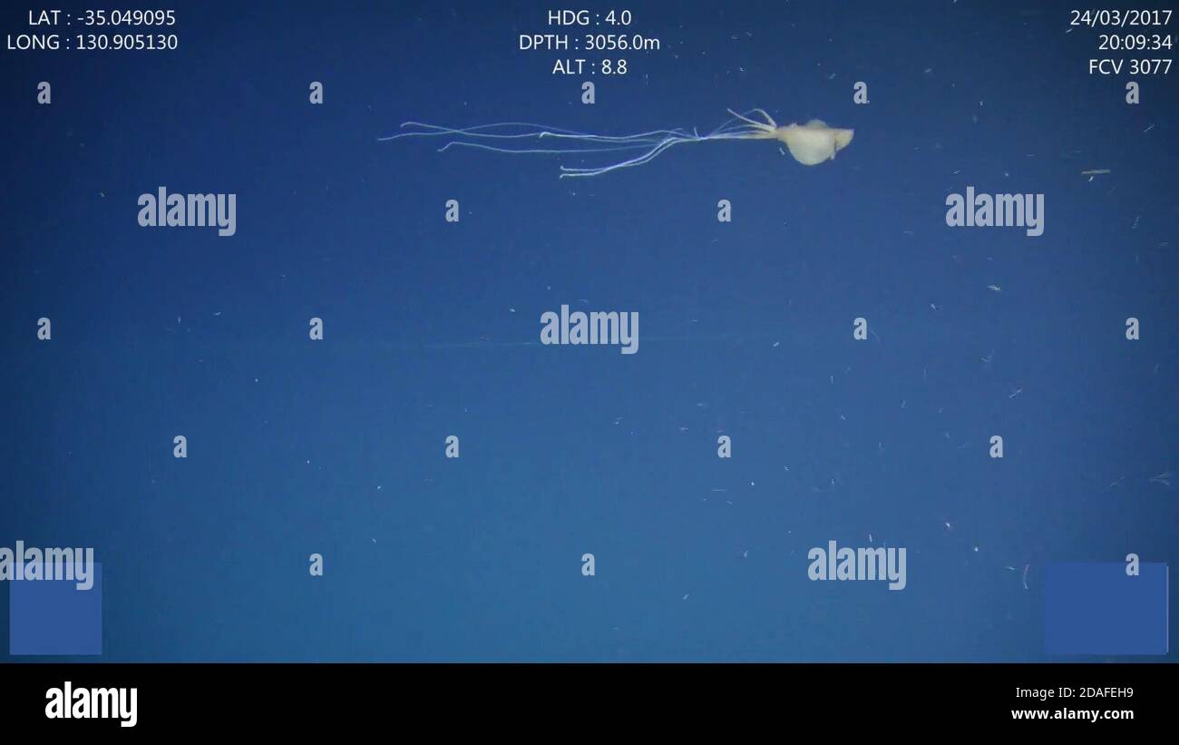 Canberra, Australia. 12th Nov 2020. Photo provided by the Commonwealth Scientific and Industrial ...
