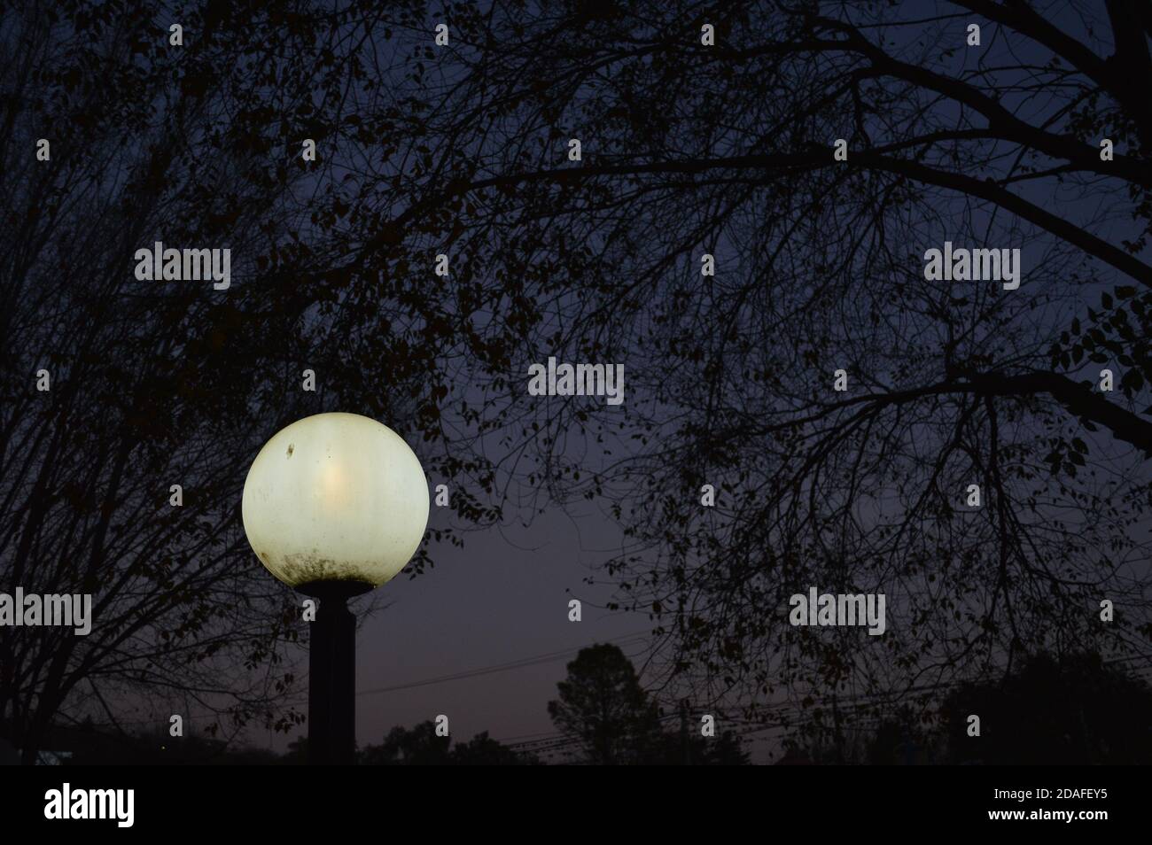 Street lamp over spooky dark sky with branches in the background Stock ...