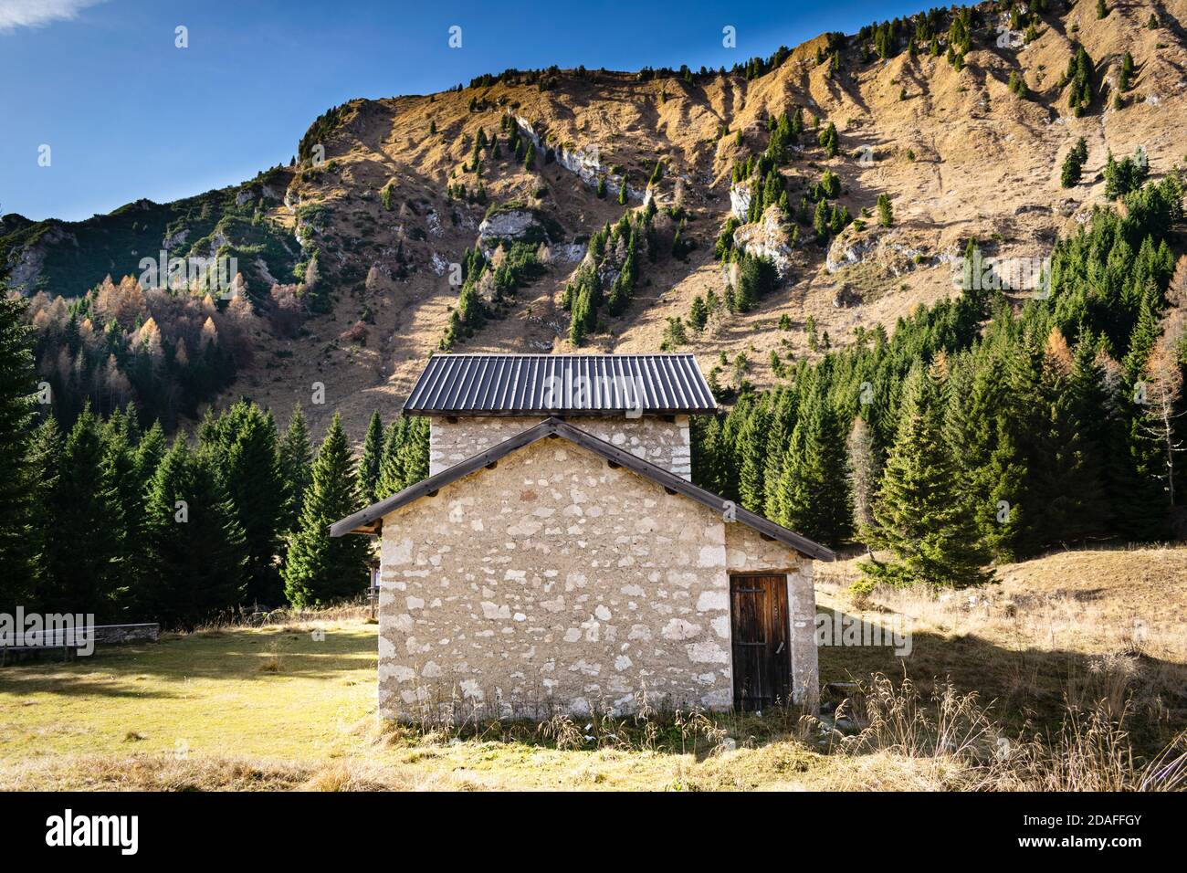Belluno national park hi-res stock photography and images - Alamy