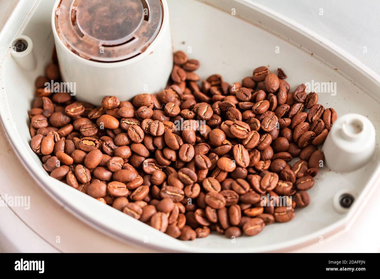 Coffee beans into the coffee machine dispenser before preparing coffee ...
