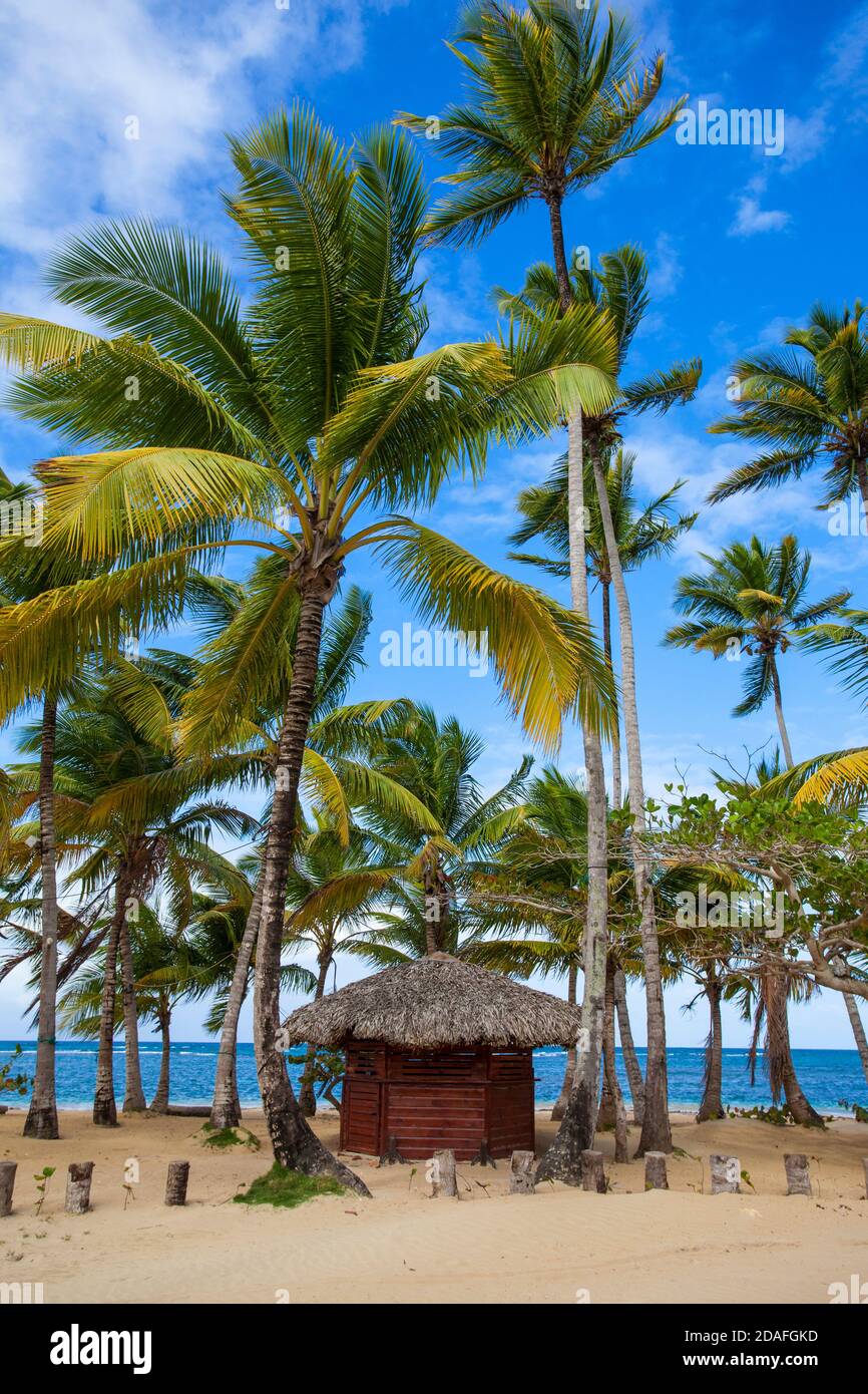 Dominican Republic, Samana Peninsula, Beach at Las Terrenas Stock Photo ...