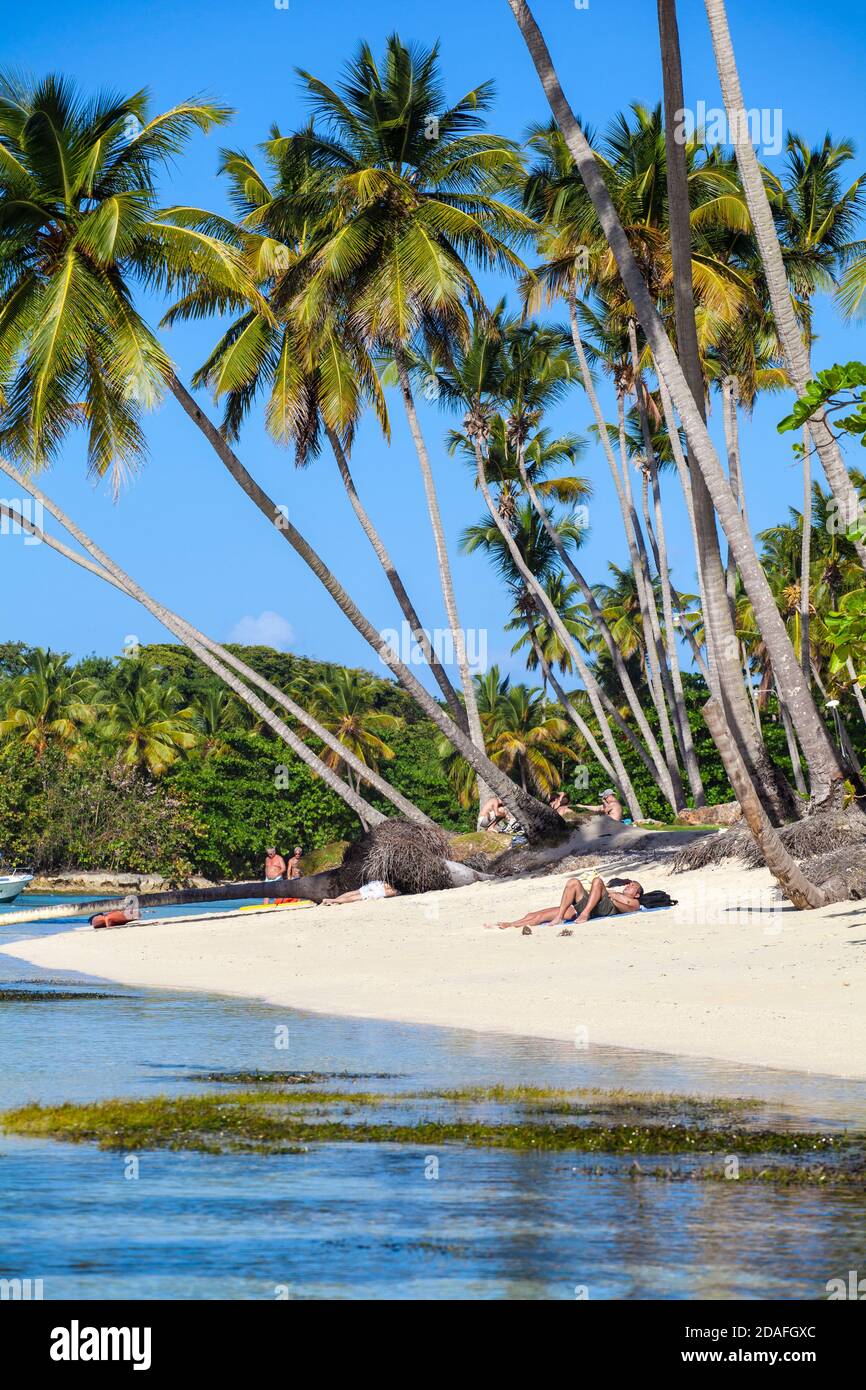 Dominican Republic, Samana Peninsula, Las Galleras, La Playita beach ...