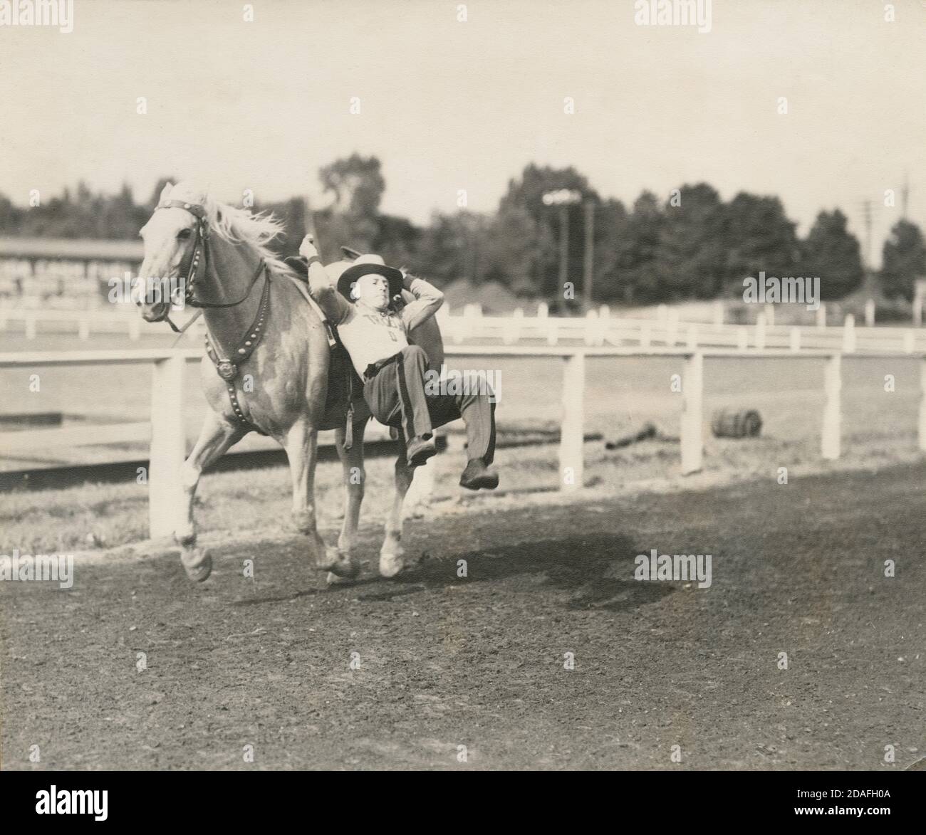 Trick horse hi-res stock photography and images - Alamy