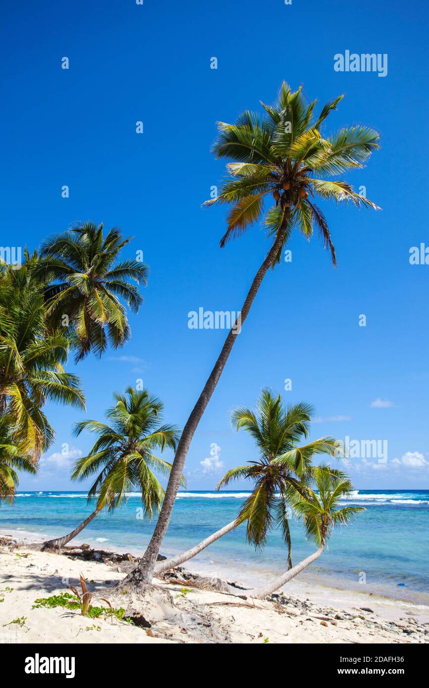 Dominican Republic, Samana Peninsula, Playa Fronton Stock Photo - Alamy