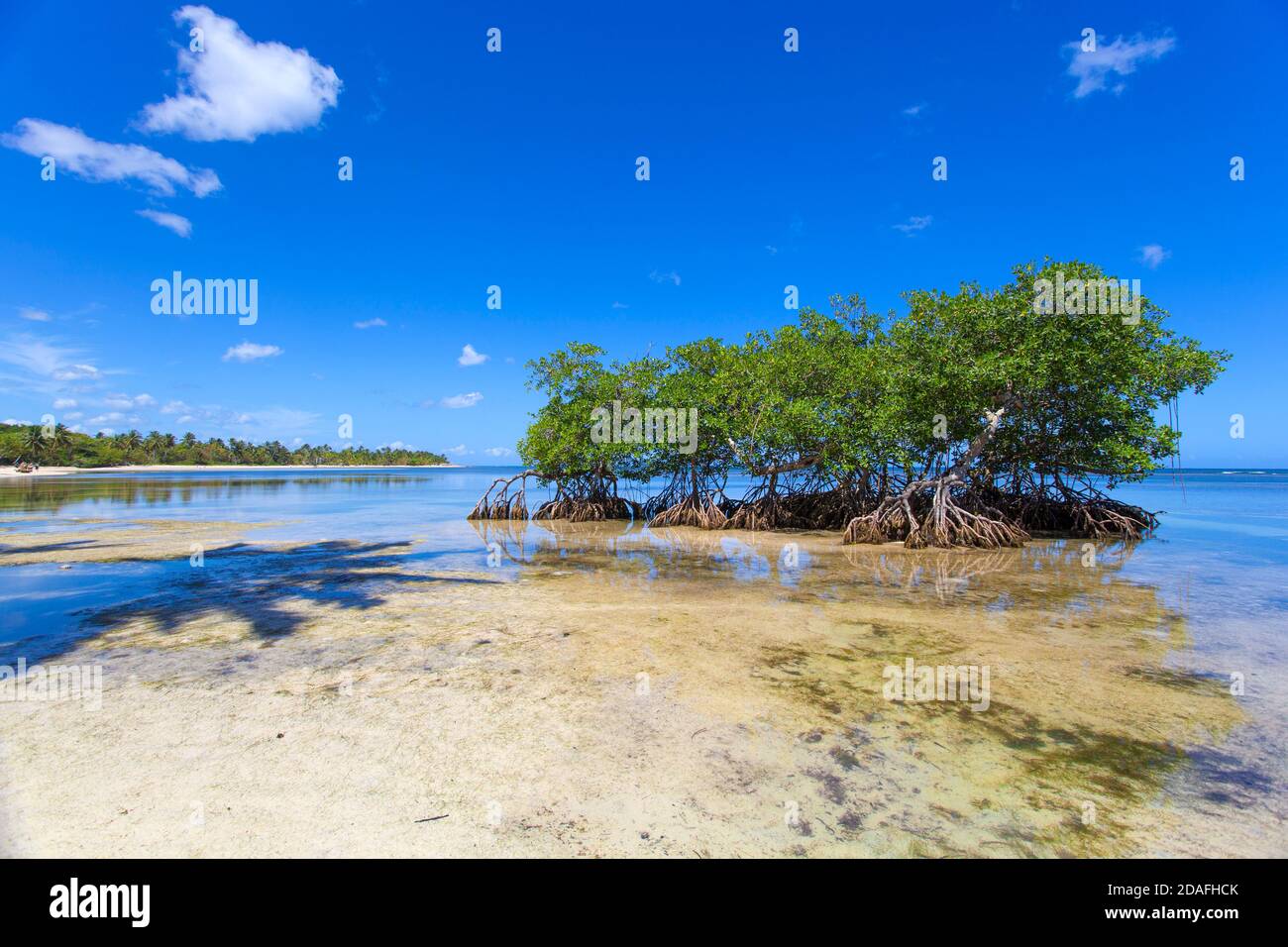 Dominican Republic, Samana Peninsula, Las Terrenas, El Portillo Beach ...