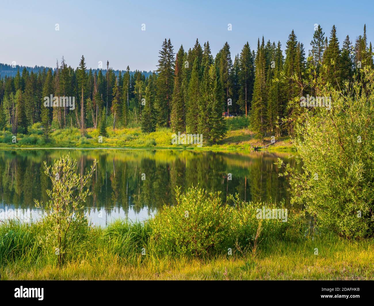 Jumbo Lake, Mesa Lakes area, Grand Mesa, Colorado Stock Photo - Alamy